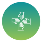 BFAP – Data Driven Insight